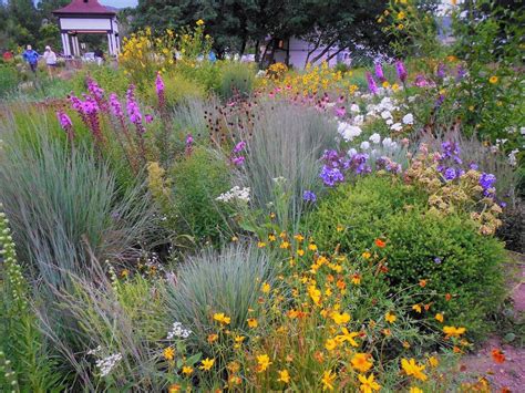 Pin By Misty White On Home Backyard Prairie Garden Native Plant