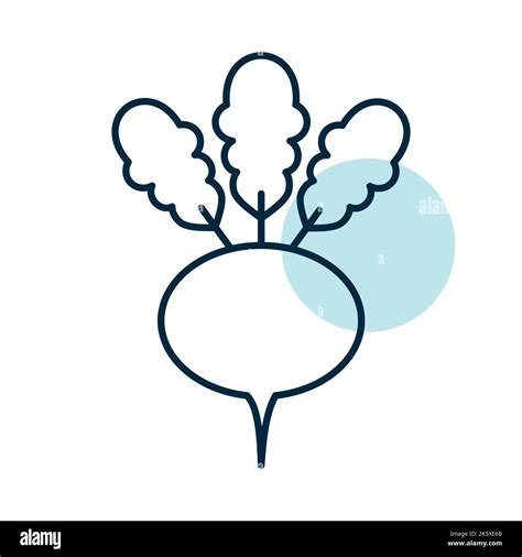 Turnip Isolated Design Vector Icon Vegetable Sign Graph Symbol For