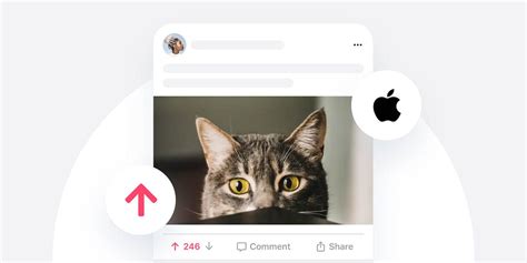 Transforming Webhooks Into Push Notifications A Step By Step Guide