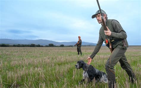 Las Mejores Razas Españolas De Perros De Caza Blog Caza Chiruca