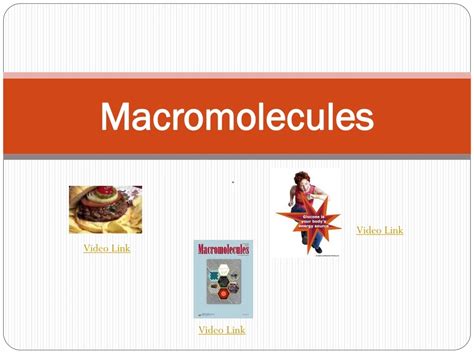 Ppt Macromolecules Powerpoint Presentation Free Download Id 8950957