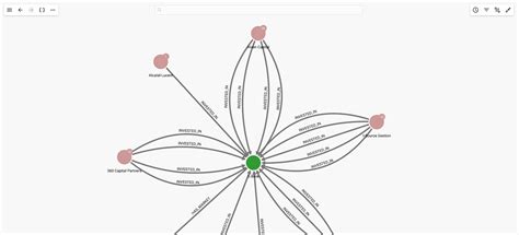 Manipulating The Graph Edge Grouping Linkurious User Manual 3014
