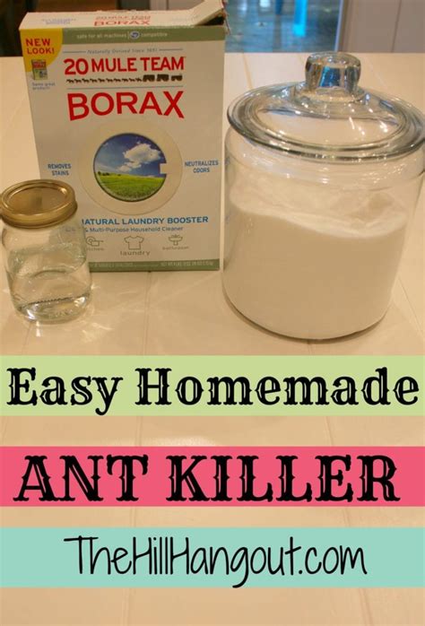 Homemade Ant Bait With Borax Homemade Ftempo