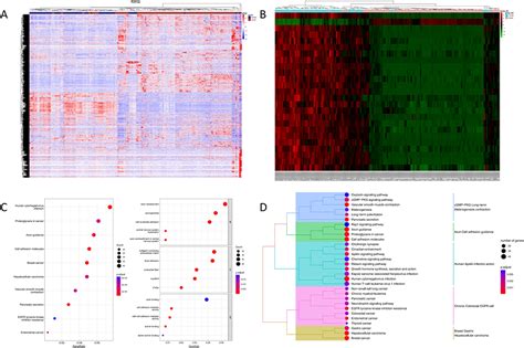 Identification Of Candidate Hub Genes And Drug Targets For Cholangioca