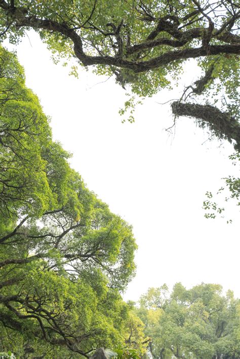 桂林山水旅游风景素材 桂林山水旅游风景模板 桂林山水旅游风景图片免费下载 设图网