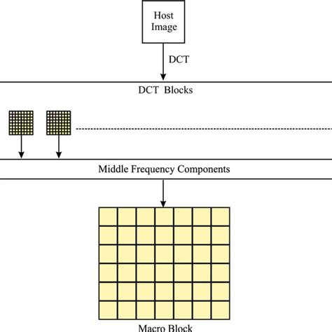 Frequencies Distribution In A Dct Block Download Scientific Diagram