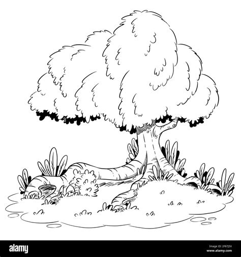 Arbol Con Raices Para Dibujar Fotograf As E Im Genes De Alta Resoluci N