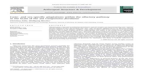 Caste And Sex Specific Adaptations Within The Olfactory Pathway In The