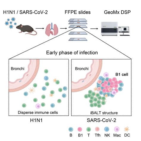 中国科学院大学新闻网