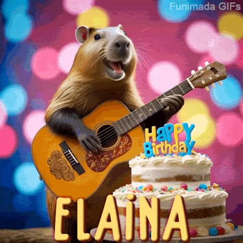 Funny Birthday Song  For Elaina Download On