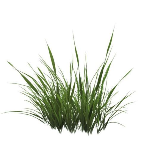 Pin By Lucrece Chatain On Eco In 2025 Photoshop Landscape Grass