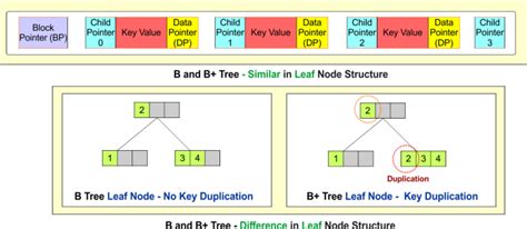 Difference Between B And B Tree Cs Taleem