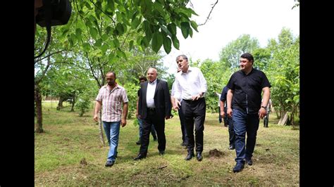 ეკომიგრანტი ოჯახებისთვის შესყიდული სახლები გურიის რეგიონში Youtube