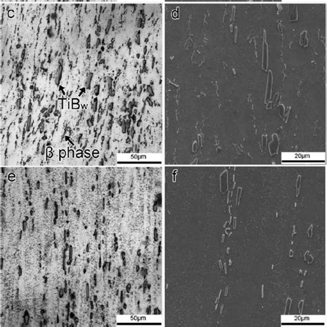 Microstructure Of 75 Vol Tibwnear α Ti Composite Deformed At 900 °c Download Scientific