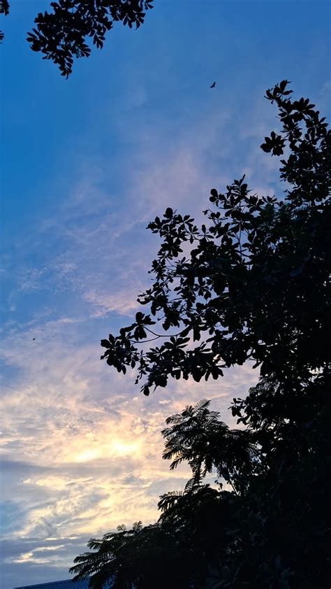 akshaya p s on linkedin it s been 14 days 🌈 14 days i commenced my linkedin journey at the…