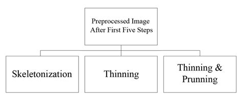 Sets Of Morphological Operations For Creating Database Download