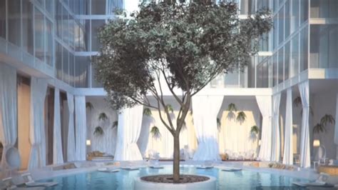 مجموعة المرشدى وان قطامية