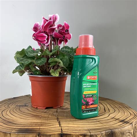 Каталог Удобрения для комнатных растений Plants Bel House