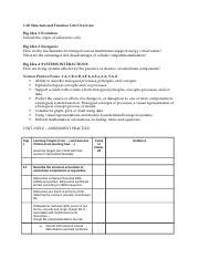 Cell Structure And Function Unit Overview Docx Cell Structure And Function Unit Overview Big