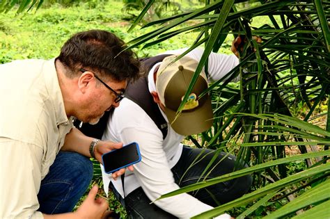 Precision Agriculture Cultivate Agri