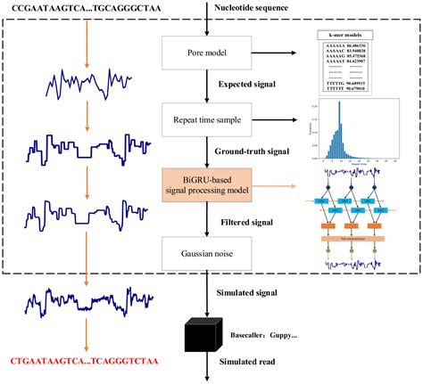 Sensors Free Full Text Simulation Of Nanopore Sequencing Signals