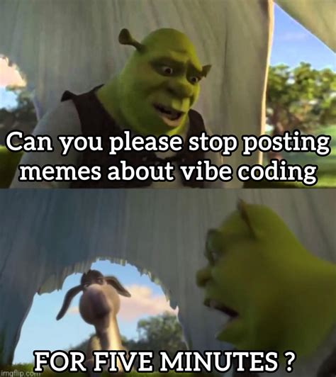 Can We Stop This Vibe Coding Nonsense ·