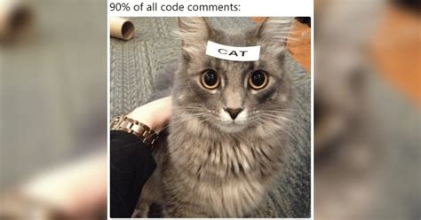 programming memes for coding geeks february 16 2025 memebase funny memes