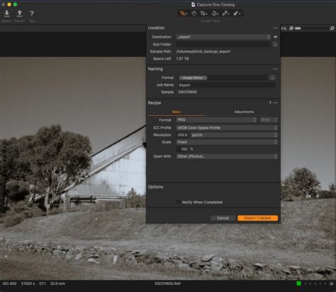 Capture One How To Preserve The Timestamp Of The Original Photo When