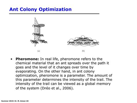 PPT Ant Colony Optimization PowerPoint Presentation Free Download ID 5406053