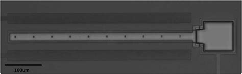 Polymumps Fabricated Resonator With Anchor Right Beam Center And