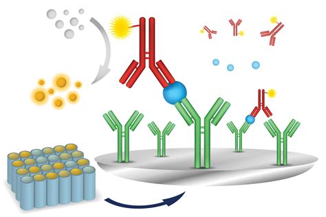 Pathogen Detection Assays Advantages Disadvantages And Alternatives