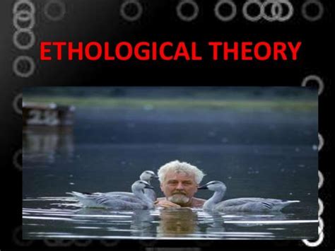 Solution Hps 904 Ethological Theory Studypool