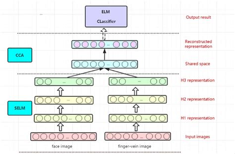 Figure 2 From A Novel Multimodal Biometrics Recognition Model Based On