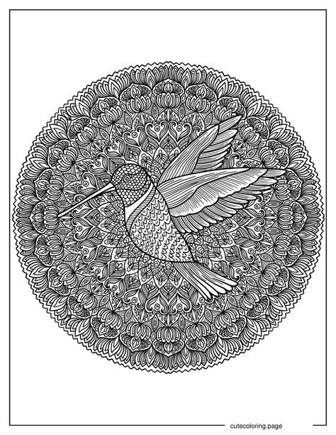 Mandala Hummingbird Coloring Page A Journey Of Relaxation And Creativity