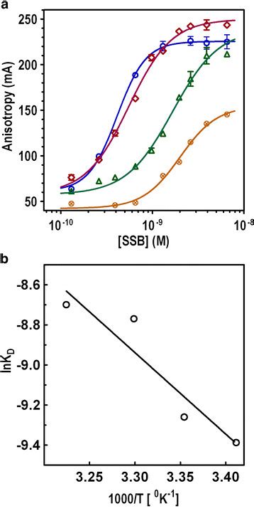Temperature Dependence Of Ssb Ba ·ssdna Complex Formation Temperature