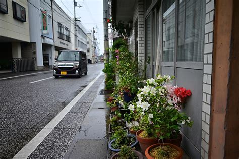 2023년 다카마쓰 여행 첫째 날 With Z5