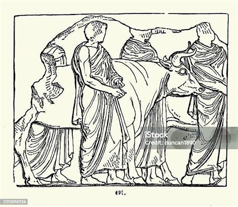 파르테논 신전 엘긴 대리석 예술의 역사 조각 고 대 그리스어 남부 프리즈의 일부 황소를 가진 남자 0명에 대한 스톡 벡터 아트 및 기타 이미지 Istock