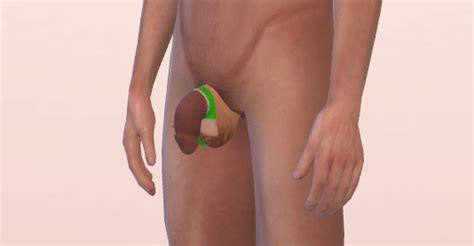 Penis Texture Looks Messed Up With Skin Cc Technical Support