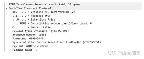 H265 Rtp打包发送以及rtsp抓包分析 知乎 H265 Rtp打包发送以及rtsp抓包分析 知乎