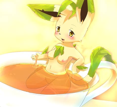 post 91414 ka leafeon porkyman