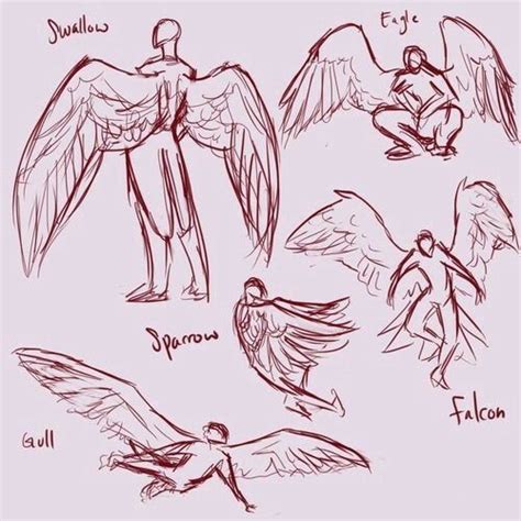 Wings Body Positions How To Draw Mangaanime Desenhando Esboços