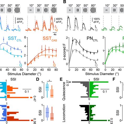 Vip Interneuron Ablation Selectively Disrupts State Dependent Activity
