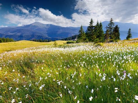 苹果macos Mojave 莫哈韦沙漠晚上风景壁纸 高清风景壁纸 彼岸桌面