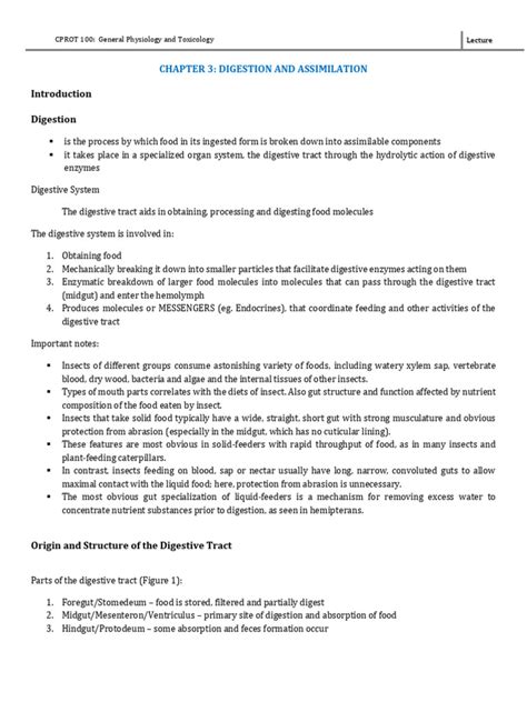 Chapter 3 Digestion And Assimilation Pdf Digestion