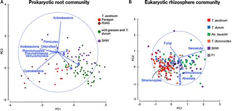How To Make Pcoa Plot With Phyla Abundance · Issue 1301 · Joey711
