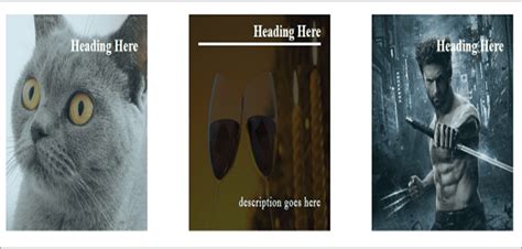 7 Best Hover Effects Wordpress Plugins Image Button And More