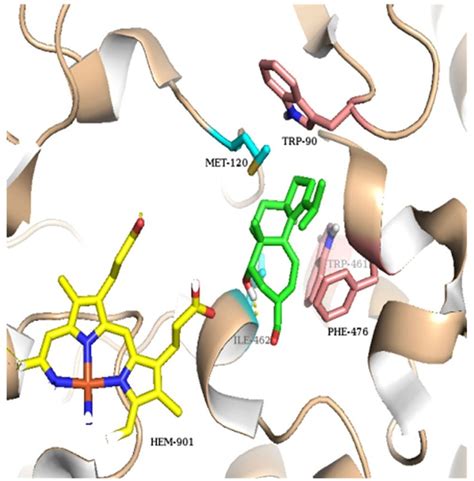 Molecular Docking Simulations Obtained At Lowest Energy Conformation Download Scientific
