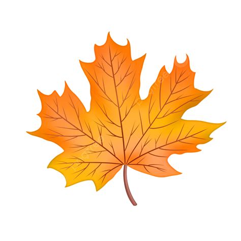 가을 일러스트 낙엽 단풍잎 나뭇잎 가을 떨어진 나뭇잎 이파리 Png 일러스트 및 Psd 이미지 무료 다운로드 Pngtree