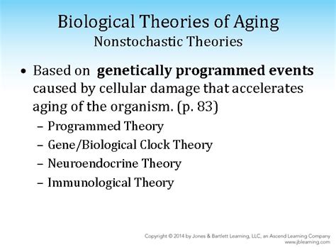 Chapter 3 Theories Of Aging Learning Objectives Identify