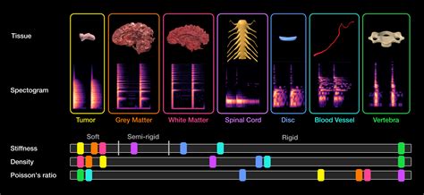 A Framework For Multimodal Medical Image Interaction Ai Research Paper Details